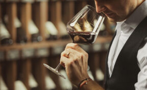 O que é um sommelier e como se tornar um expert em vinhos - Diário de Baco